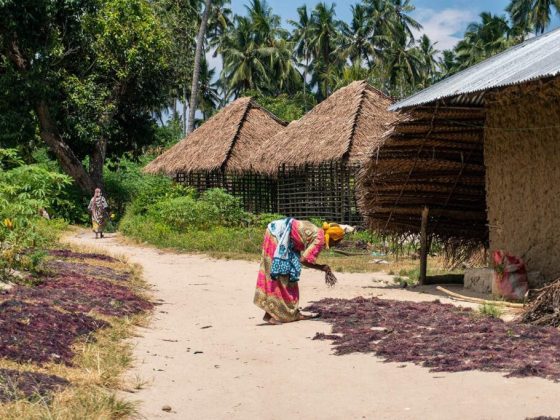 MASAI EXPERIENCE – TROPICAL TOURS ZANZIBAR
